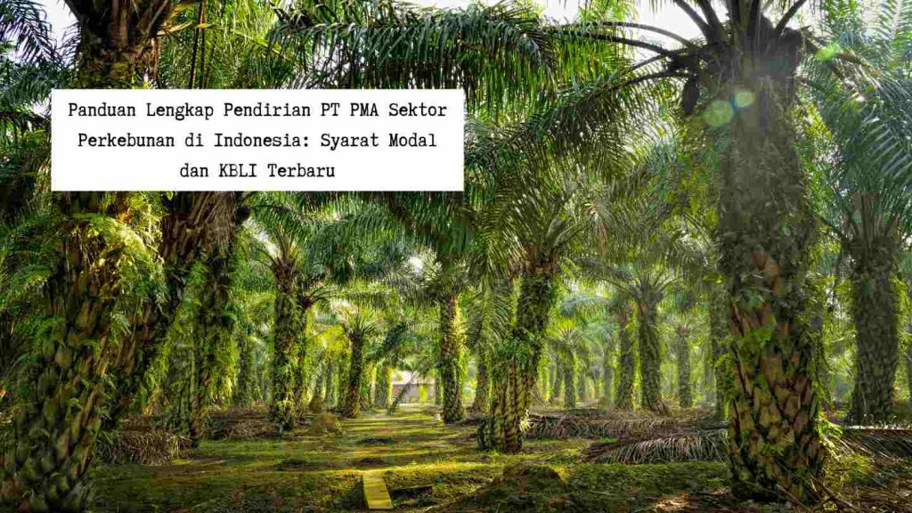Panduan Lengkap Pendirian PT PMA Sektor Perkebunan di Indonesia: Syarat ...